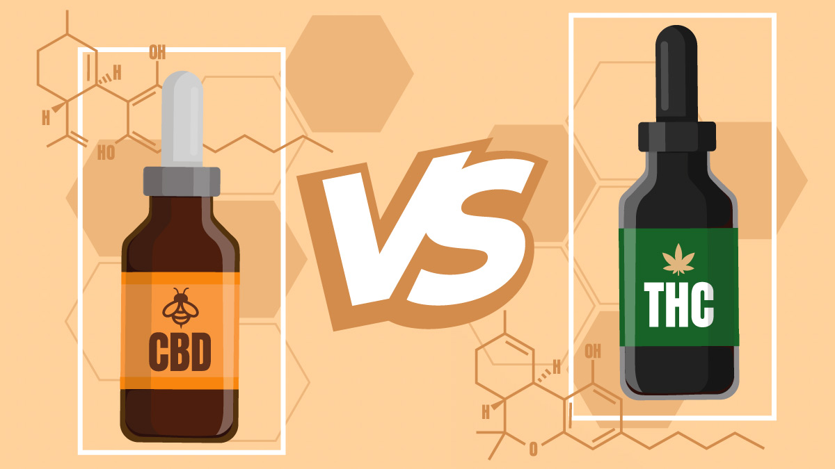 CBD vs. THC: Explaining the Difference