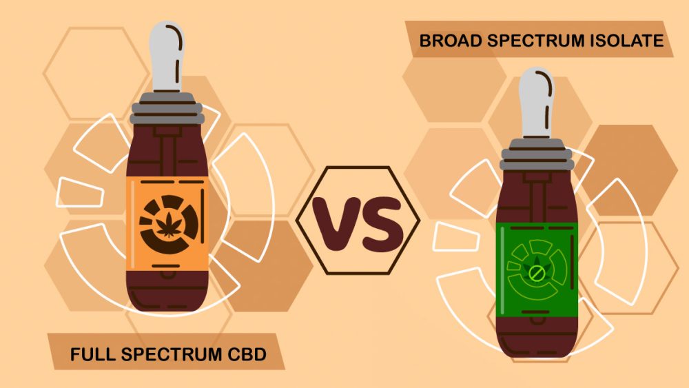 Full Spectrum CBD vs Broad Spectrum vs Isolate: What Are The ...
