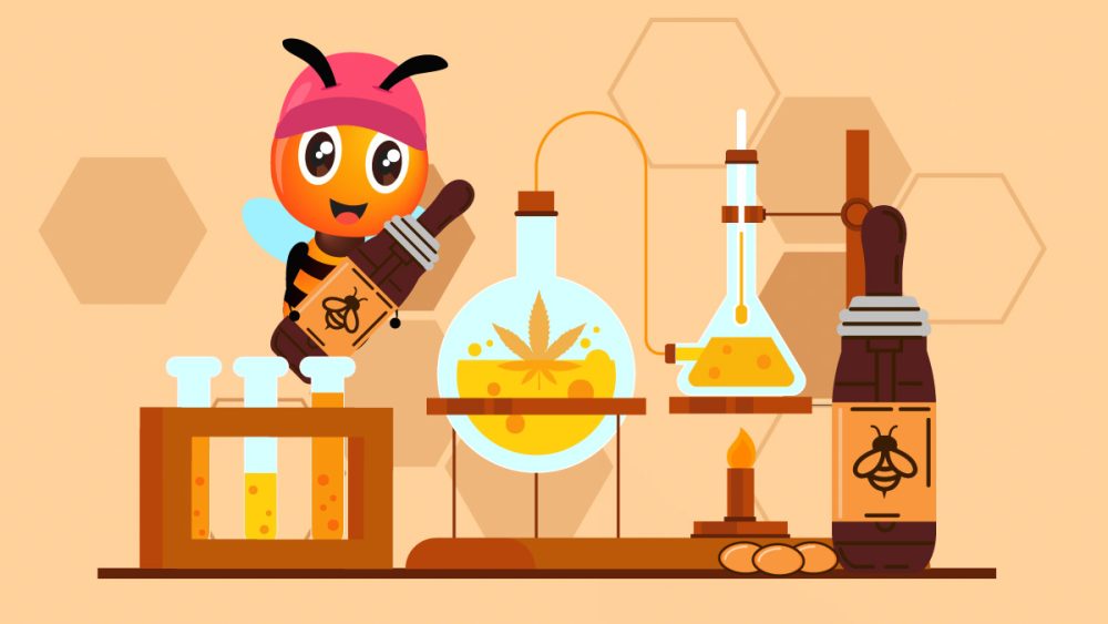 How to Make CBD Oil at Home? Step by Step Instructions